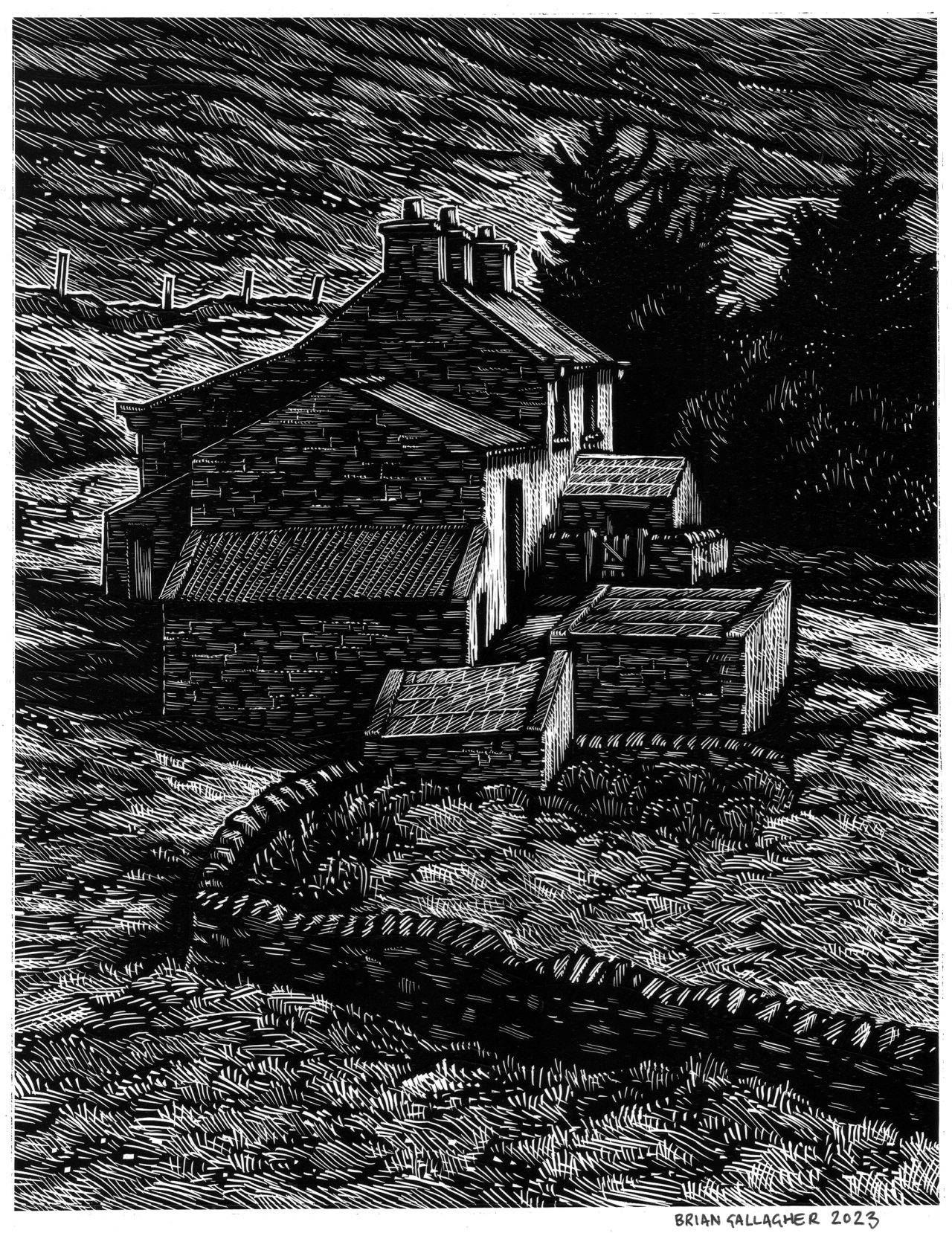 Brian Gallagher Scraperboard - Essdee Art & Craft